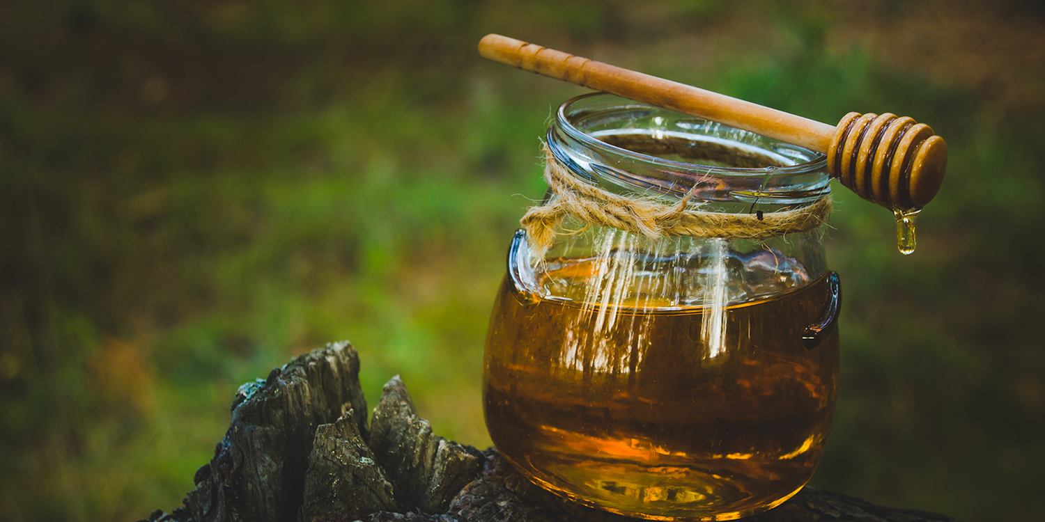 Our Honey – Back to Basics Log Cabin
