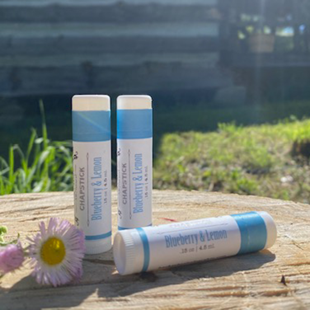 Blueberry & Lemon Chapstick – Back to Basics Log Cabin